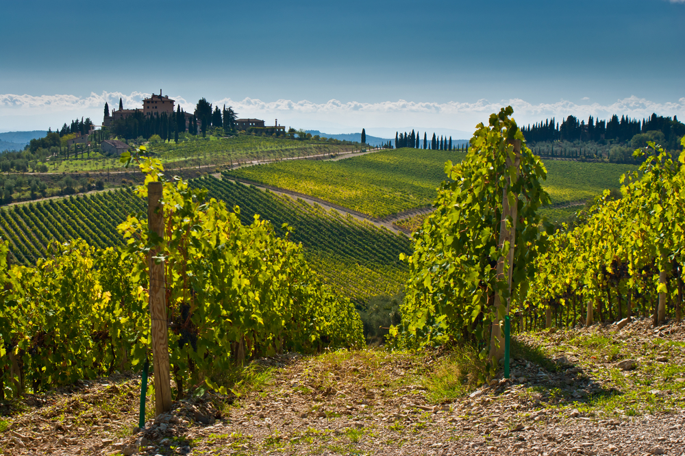 Wine Tasting in Chianti – TourCrafters Blog